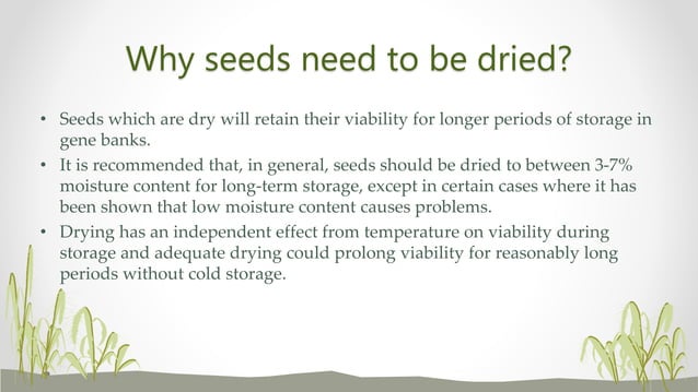 Seed drying and it's methods | PPTX | Gardening | Home & Garden