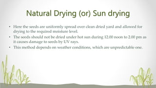 Seed drying and it's methods | PPTX