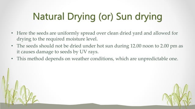 Seed drying and it's methods | PPTX | Gardening | Home & Garden