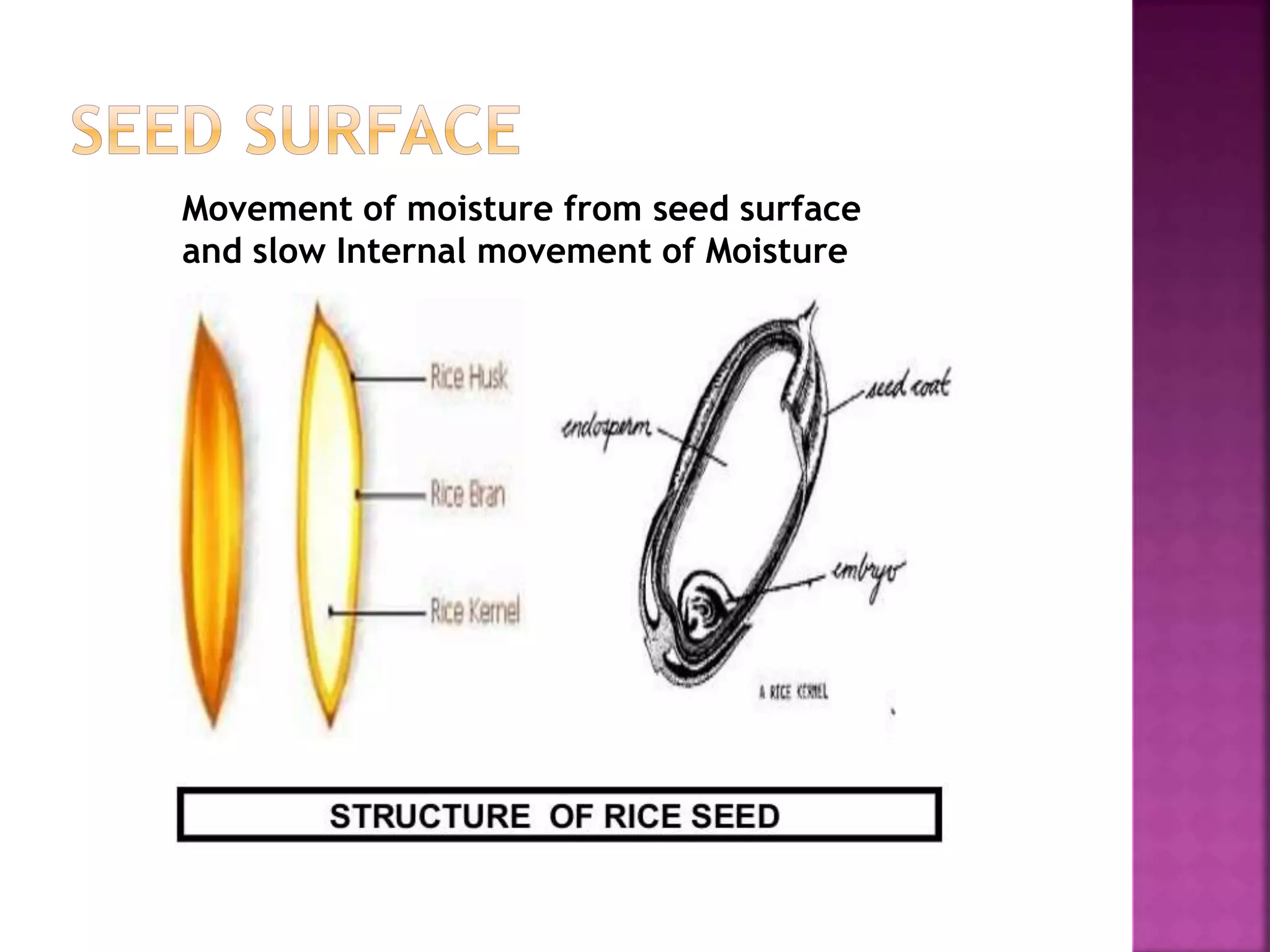 Seed drying presentation | PPTX