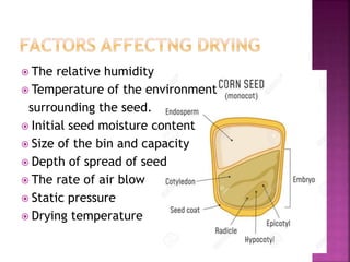 Seed drying presentation | PPTX