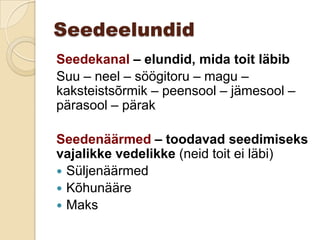 Seedeelundid | PPTX