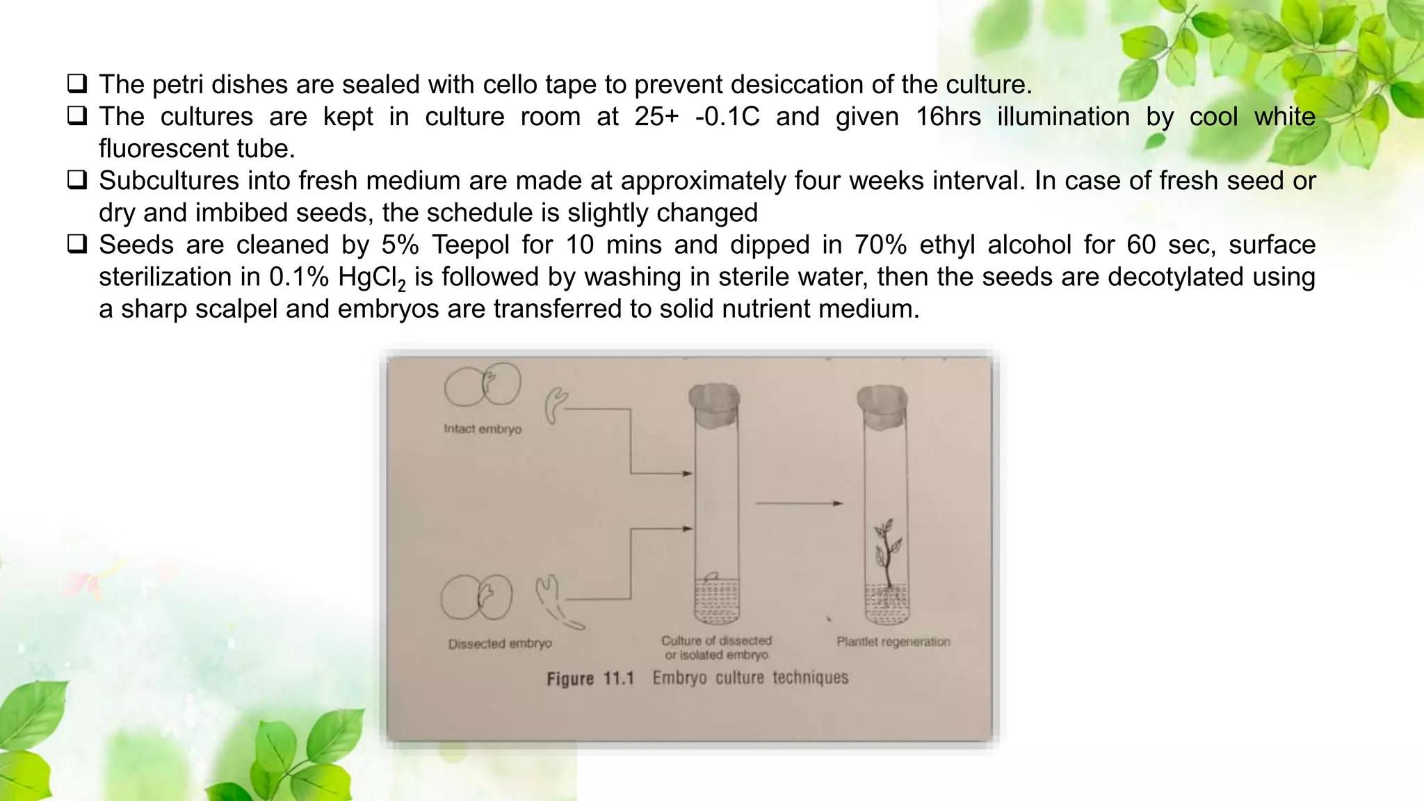 Seed & Embryo culture.pptx