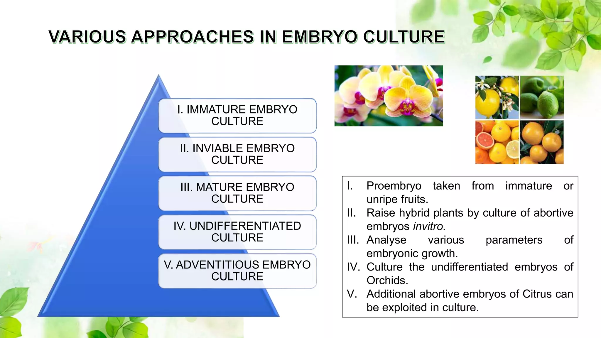Seed & Embryo culture.pptx