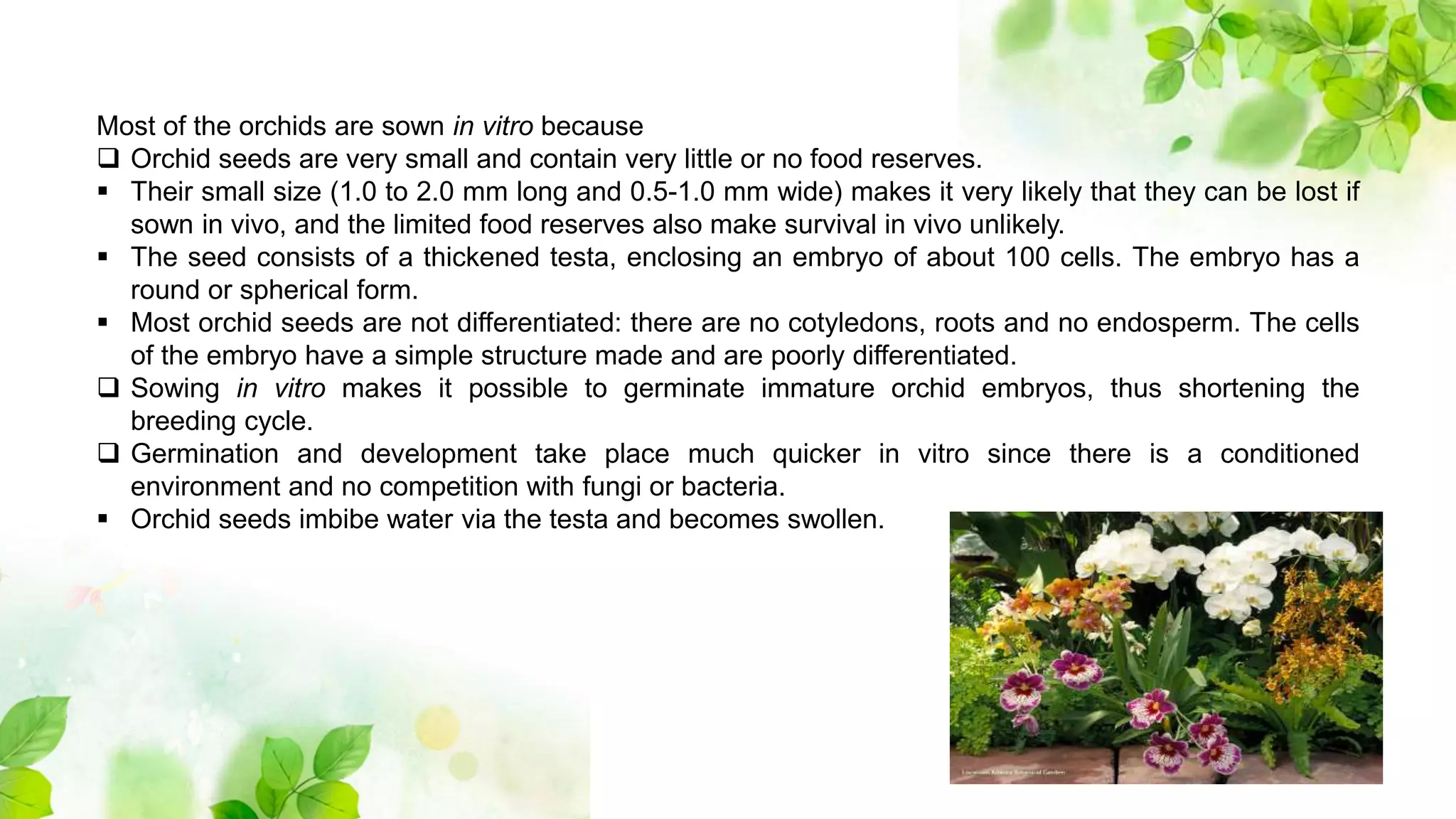 Seed & Embryo culture.pptx