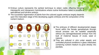 Seed & Embryo culture.pptx