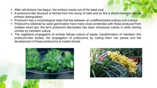 Seed & Embryo culture.pptx