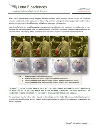 SeedEZ 3D cell culture methods and protocols - cell seeding | PDF
