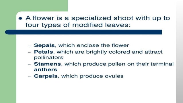 Seed formation, seed germination, seed formation | PPT