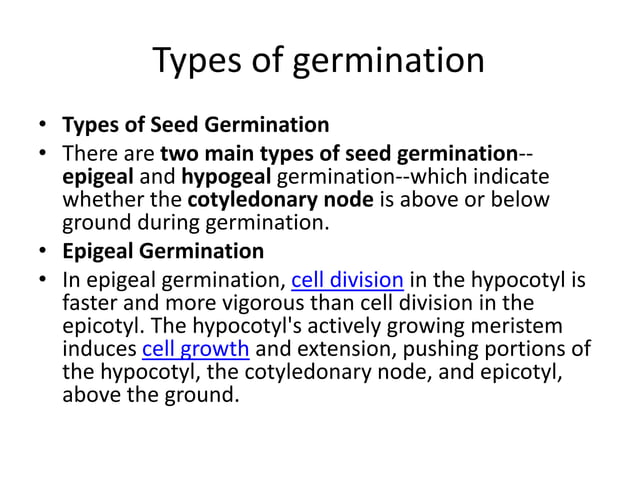 seed formation and maturation process.pptx