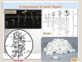Seed genomics | PPTX