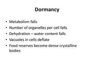 Seed germination | PPTX