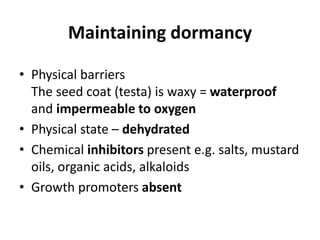 Seed germination | PPTX