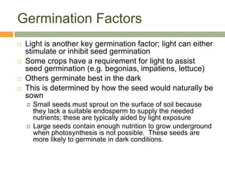 Seed Germination.pptx