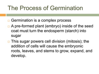 Seed Germination.pptx