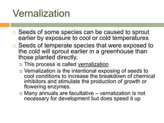 Seed Germination.pptx