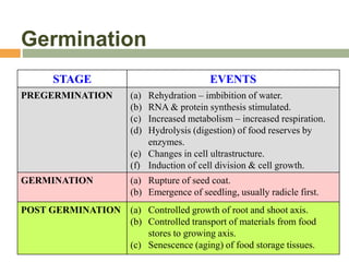 Seed Germination.pptx