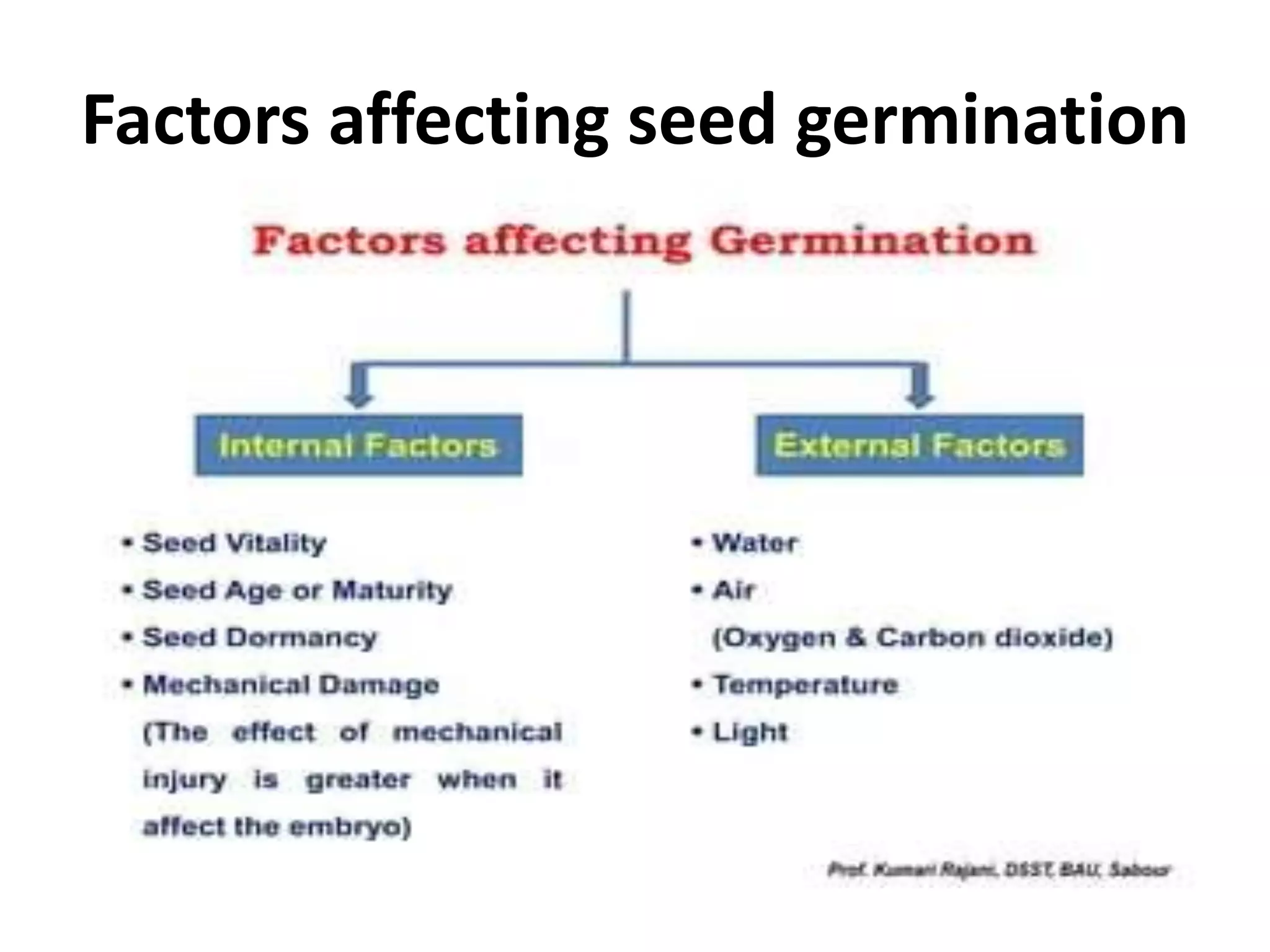 Seed germination.pptx