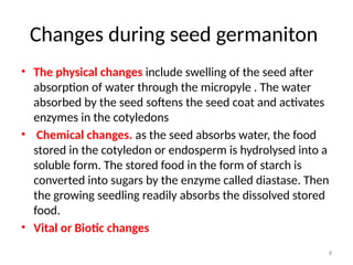 seed germination_2d72d5a7-122e-4bjs.pptx