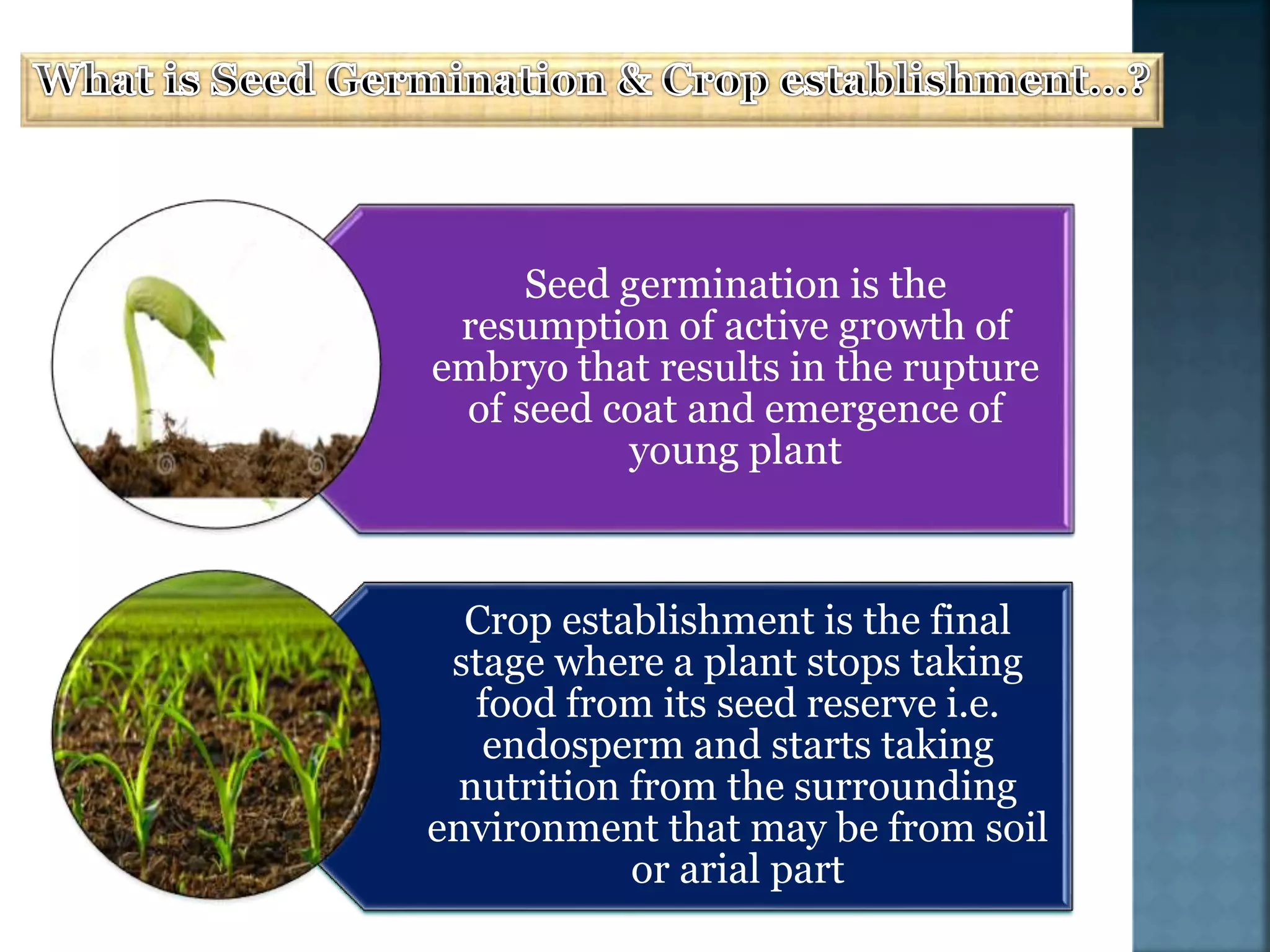 Seed germination and crop establishment in relation to moisture content ...