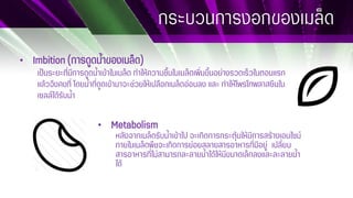 Seed germination and dormancy powerpoint | PPT