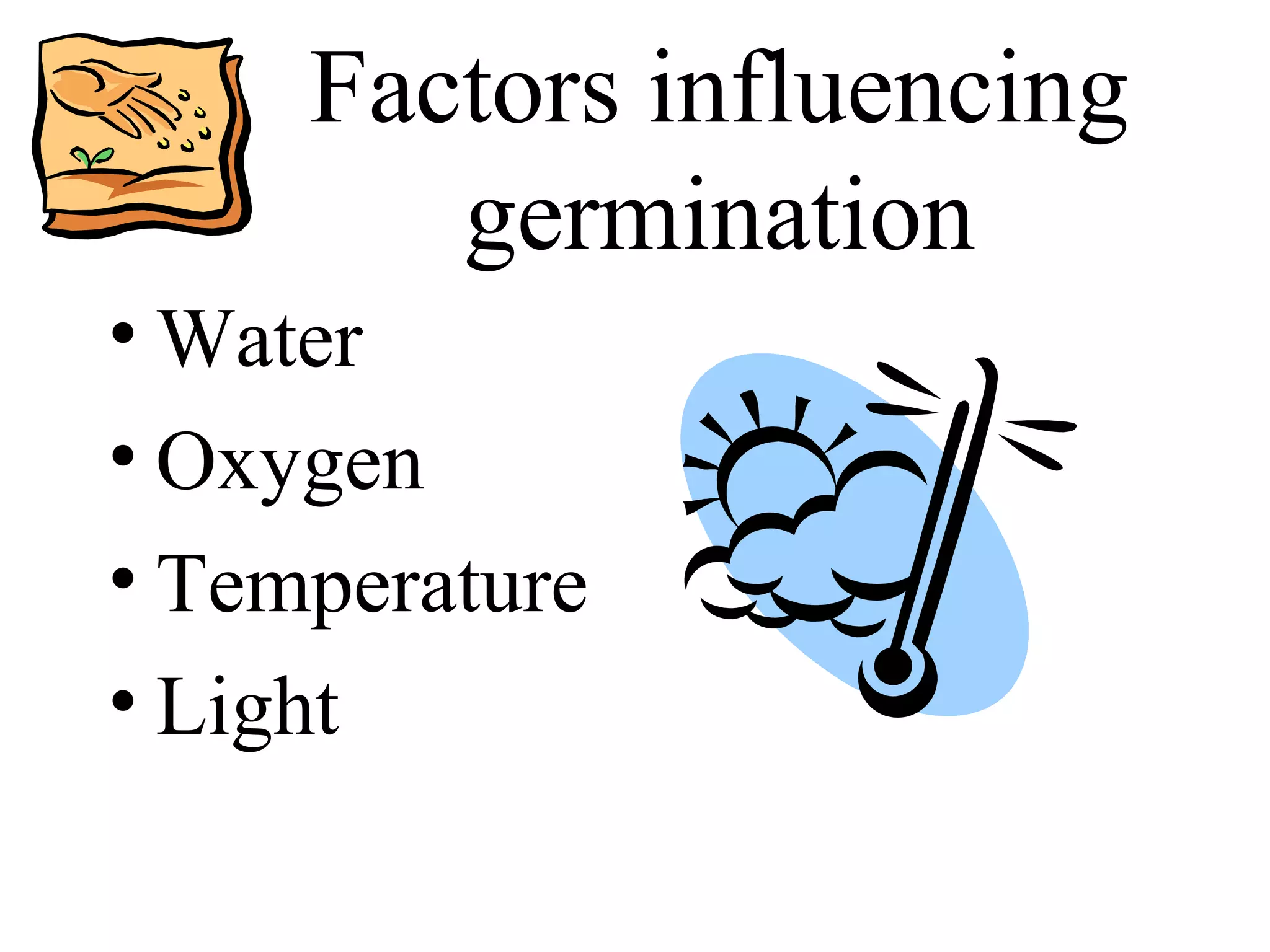 Seed Germination Notes | PPT