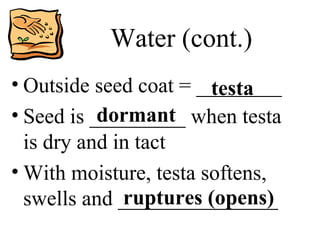 Seed Germination Notes | PPT