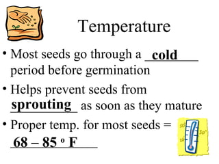 Seed Germination Notes | PPT