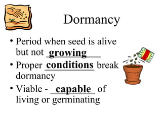 Seed Germination Notes | PPT