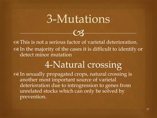 Seed germination problems | PPTX