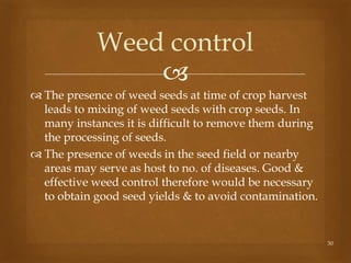 Seed germination problems | PPTX