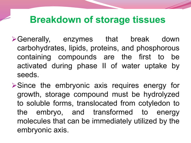 seed germination pulsee.pptx