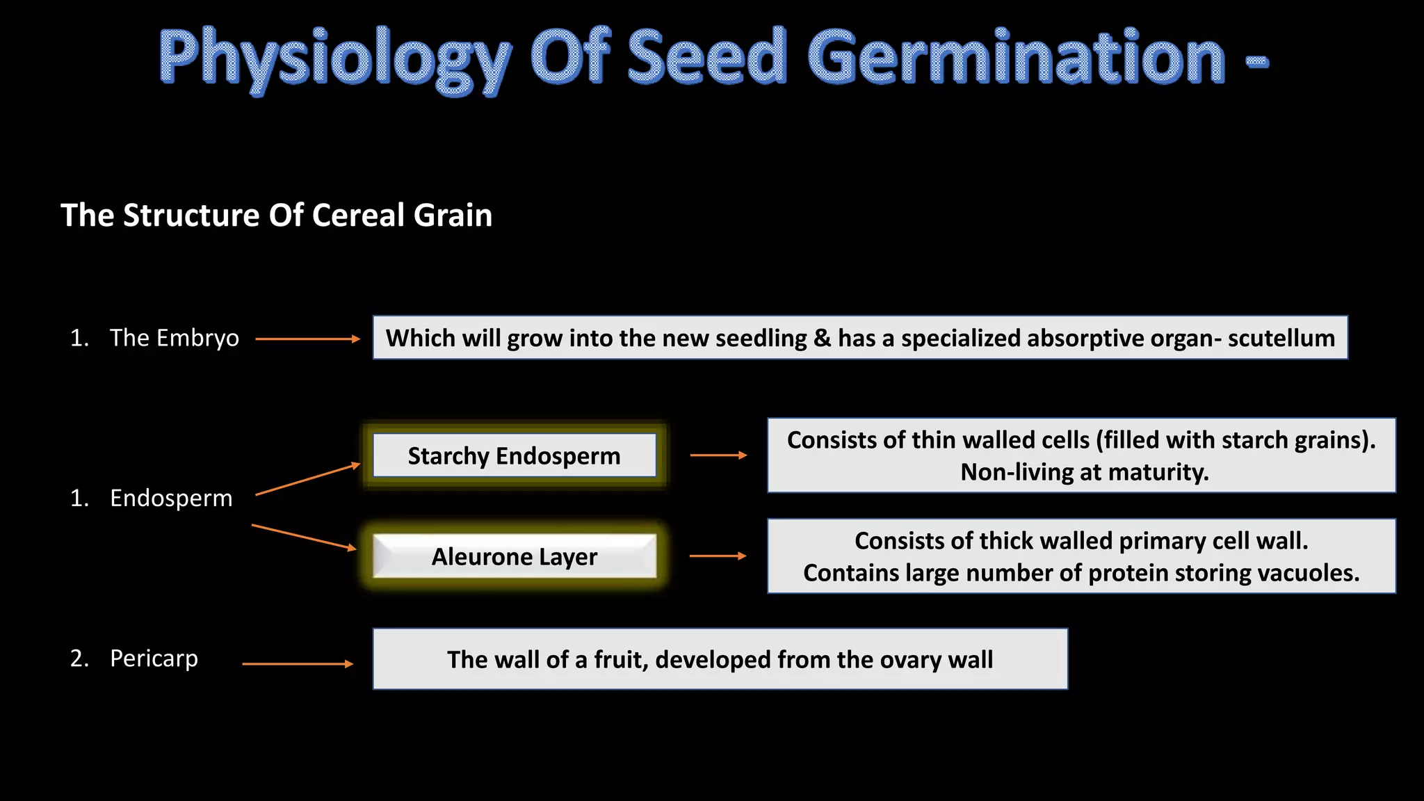 Seed Germination & Role of GA | PPTX
