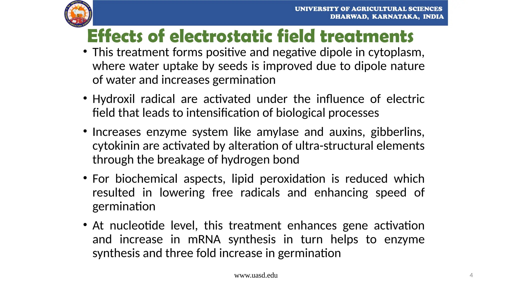 seed germination test between paper.pptx