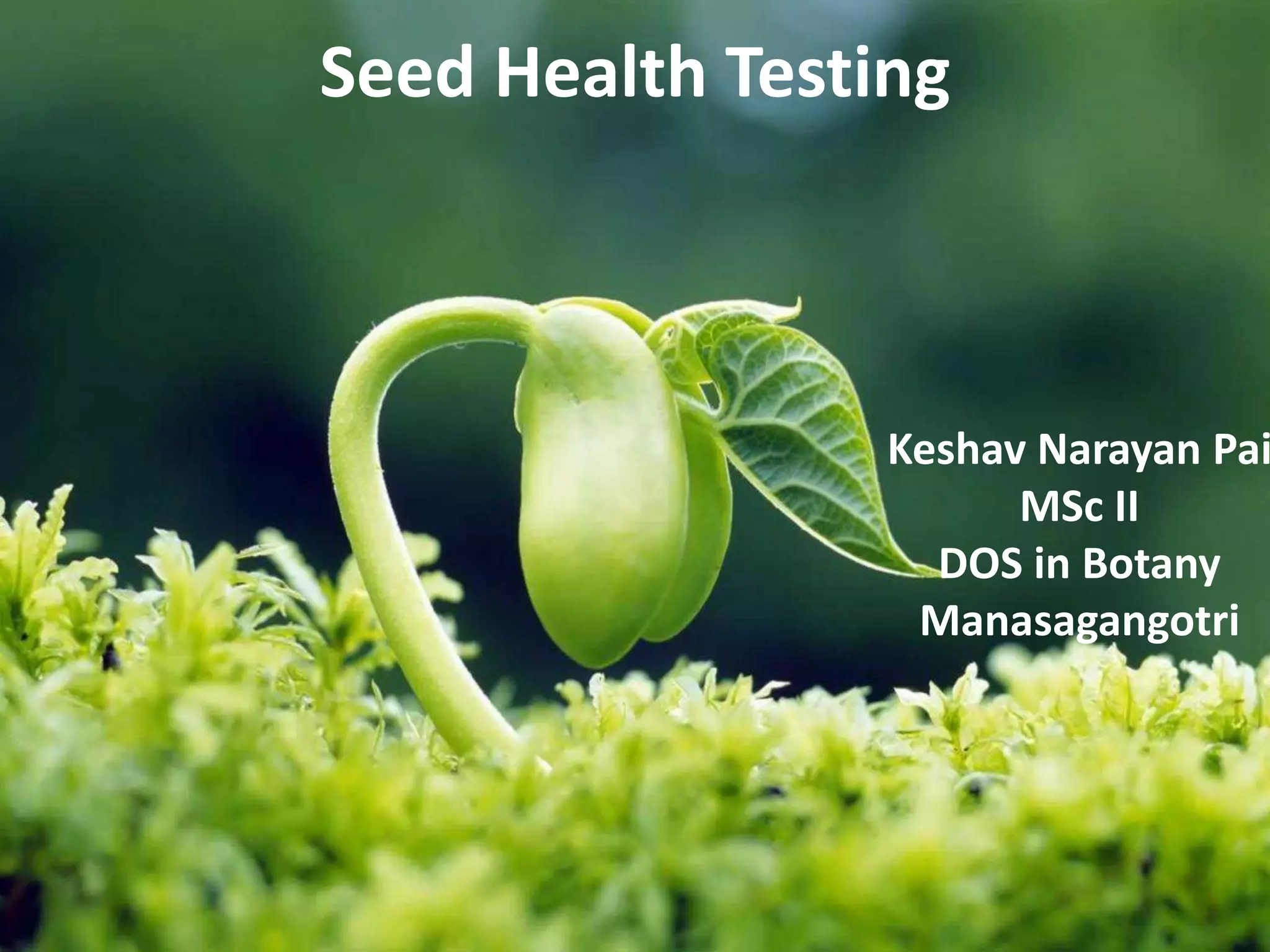 Seed health testing | PPTX