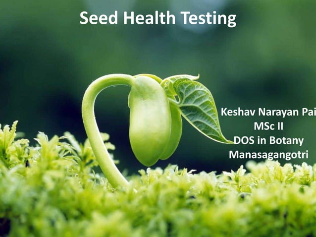 Seed health testing | PPTX | Gardening | Home & Garden