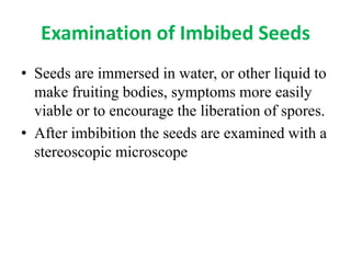 Seed health testing | PPTX