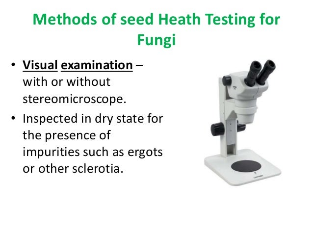 Seed health testing