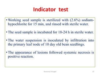 Seed health testing | PDF