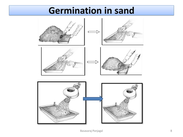 Seed health testing | PDF