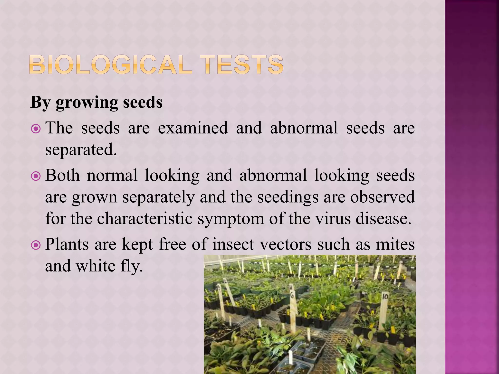 Seed health testing | PPTX