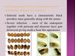 Seed health testing | PPTX