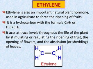 Seed hormones | PPT