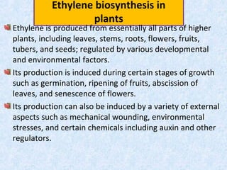 Seed hormones | PPT