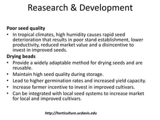 Seed Industry & Horticulture | PPTX