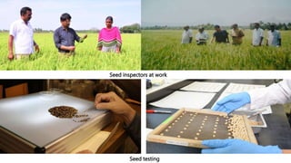 Seed legislation, Seed laws, Indian seed act | PPTX