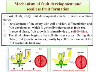 Seedless in fruit crops: Parthenocarpic fruits | PPTX