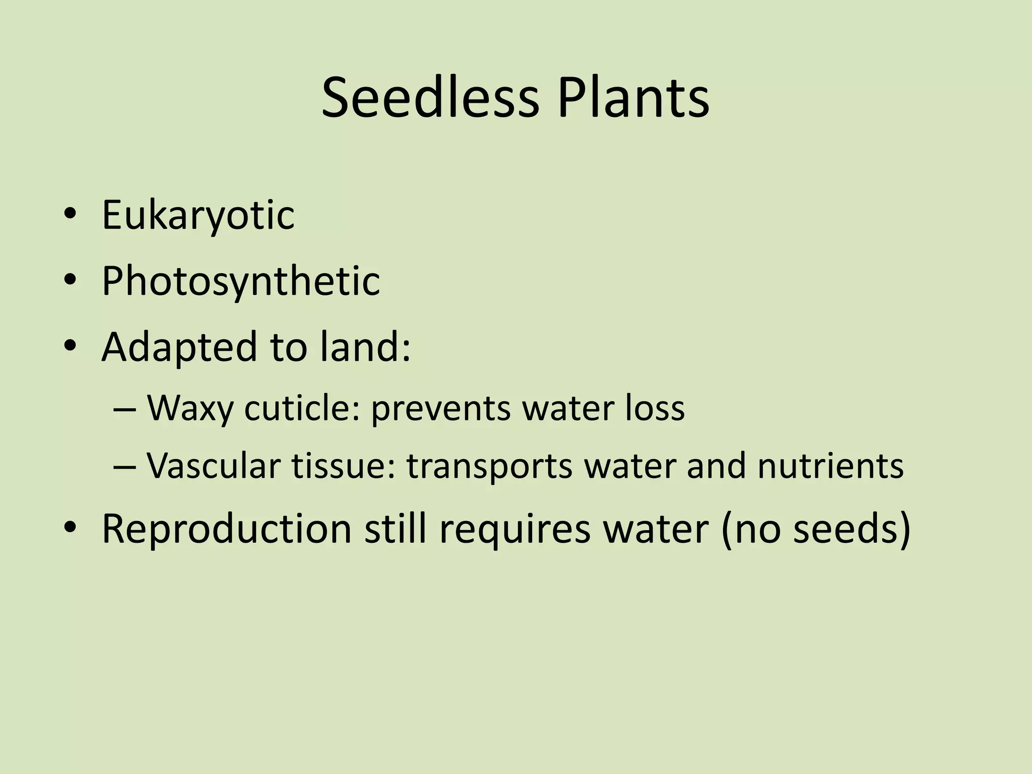 Seedless plants BIO II Slides | PPTX