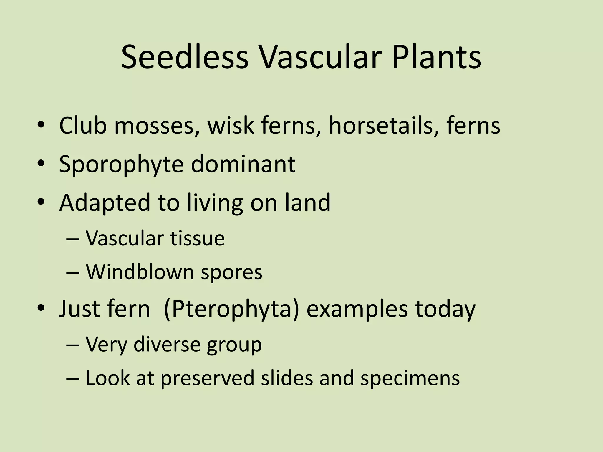 Seedless plants BIO II Slides | PPTX