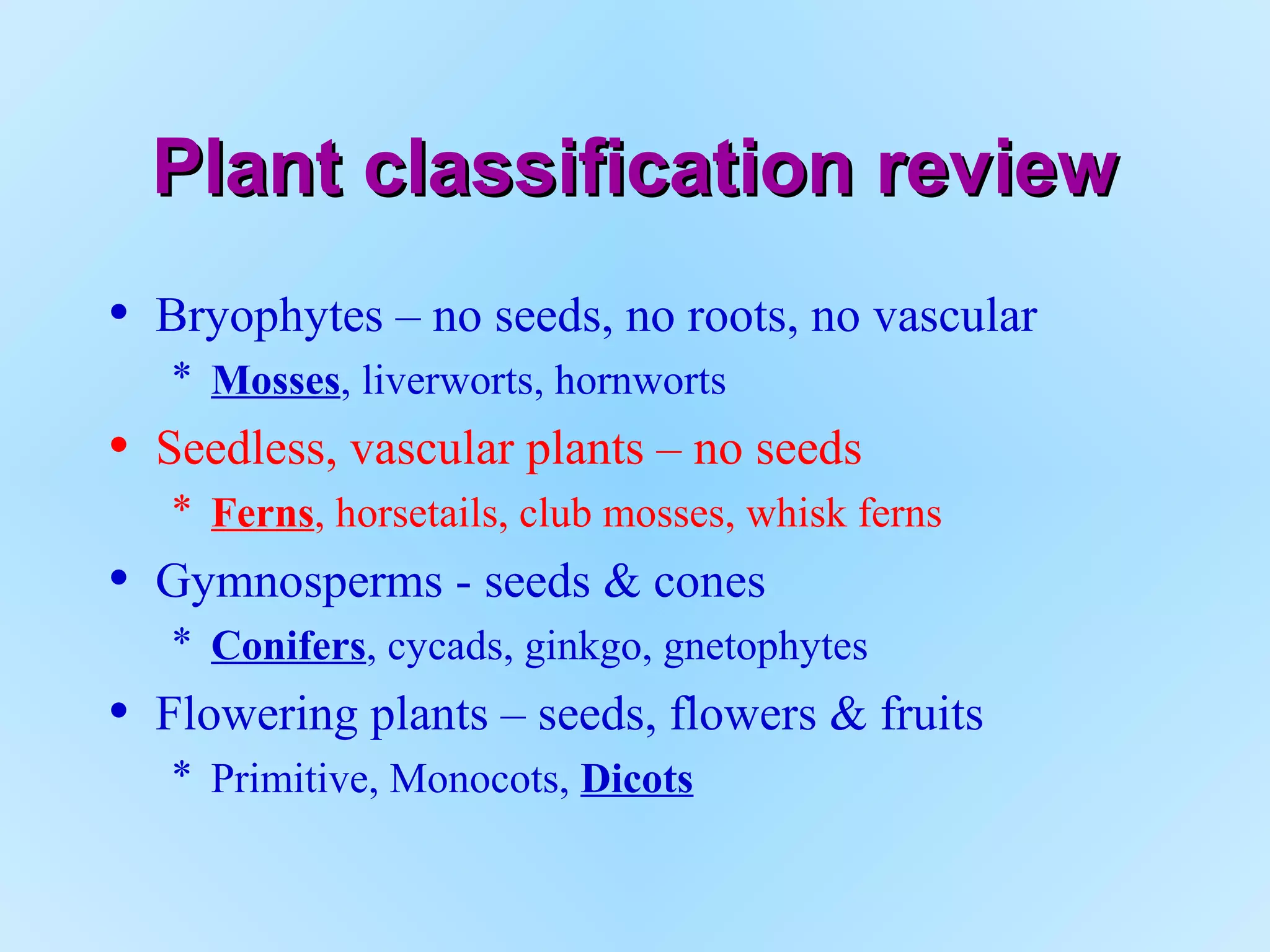 Seedless vascular plants | PPT